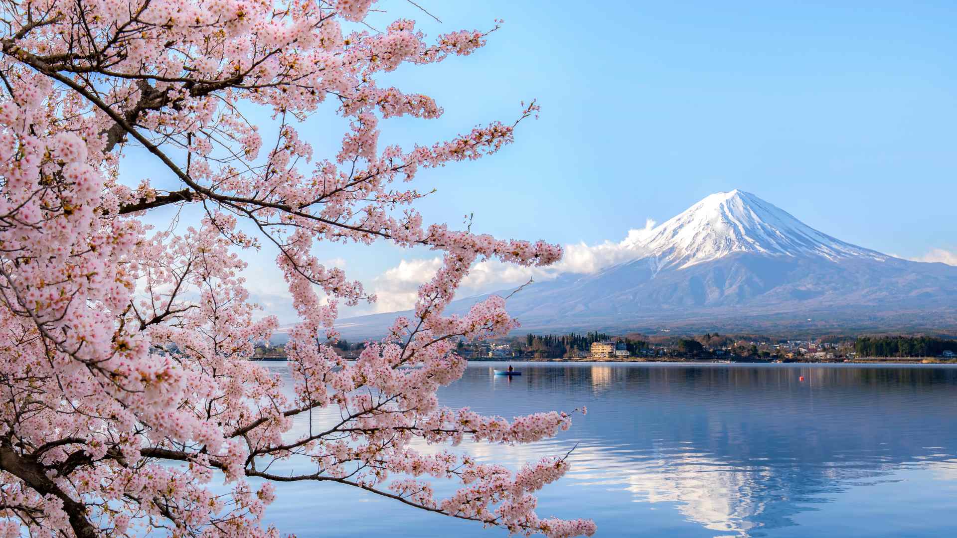 145 Fun Facts About Japan That Will Blow Your Mind