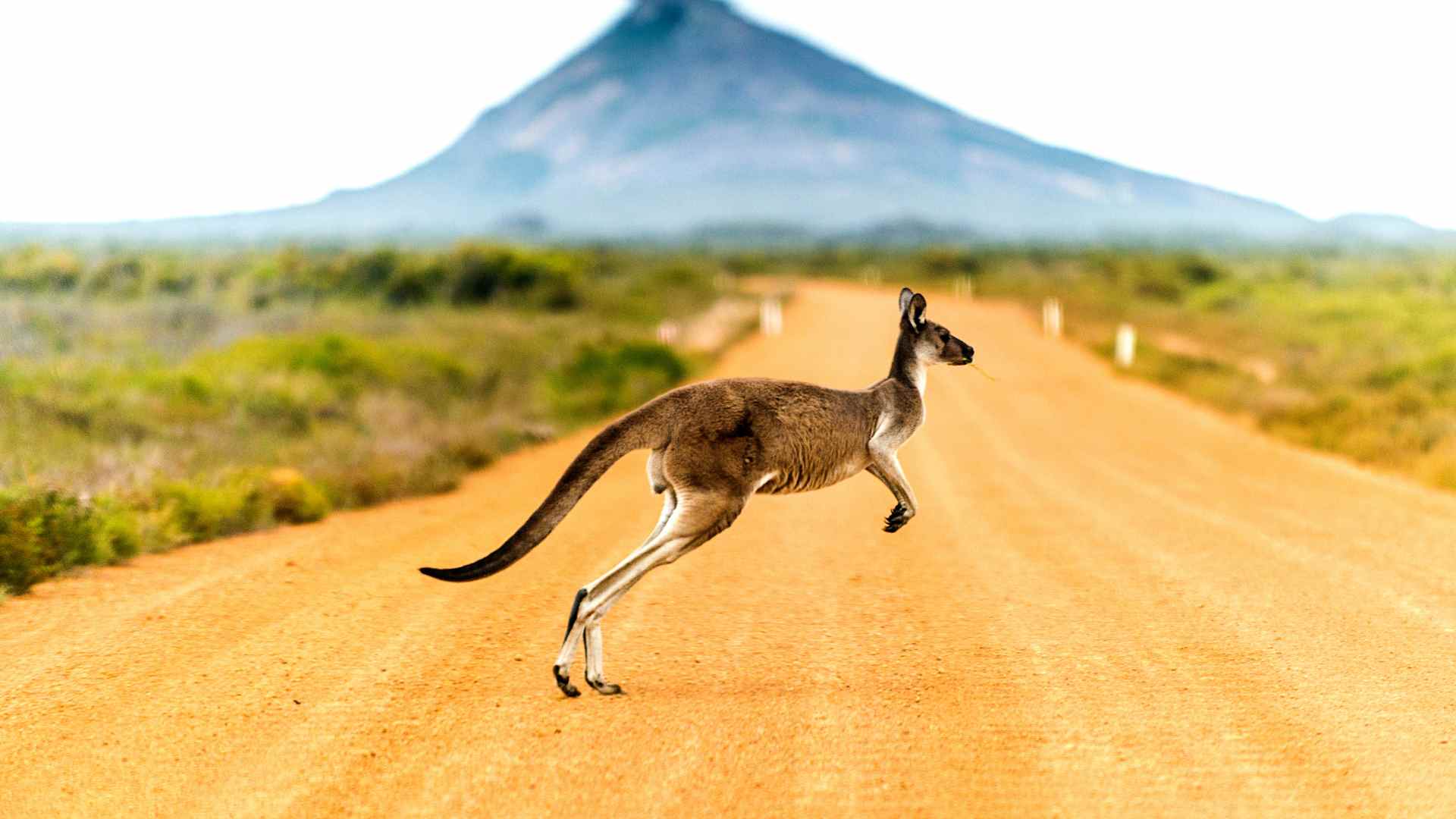 145 Fun Facts About Australia That Will Amaze