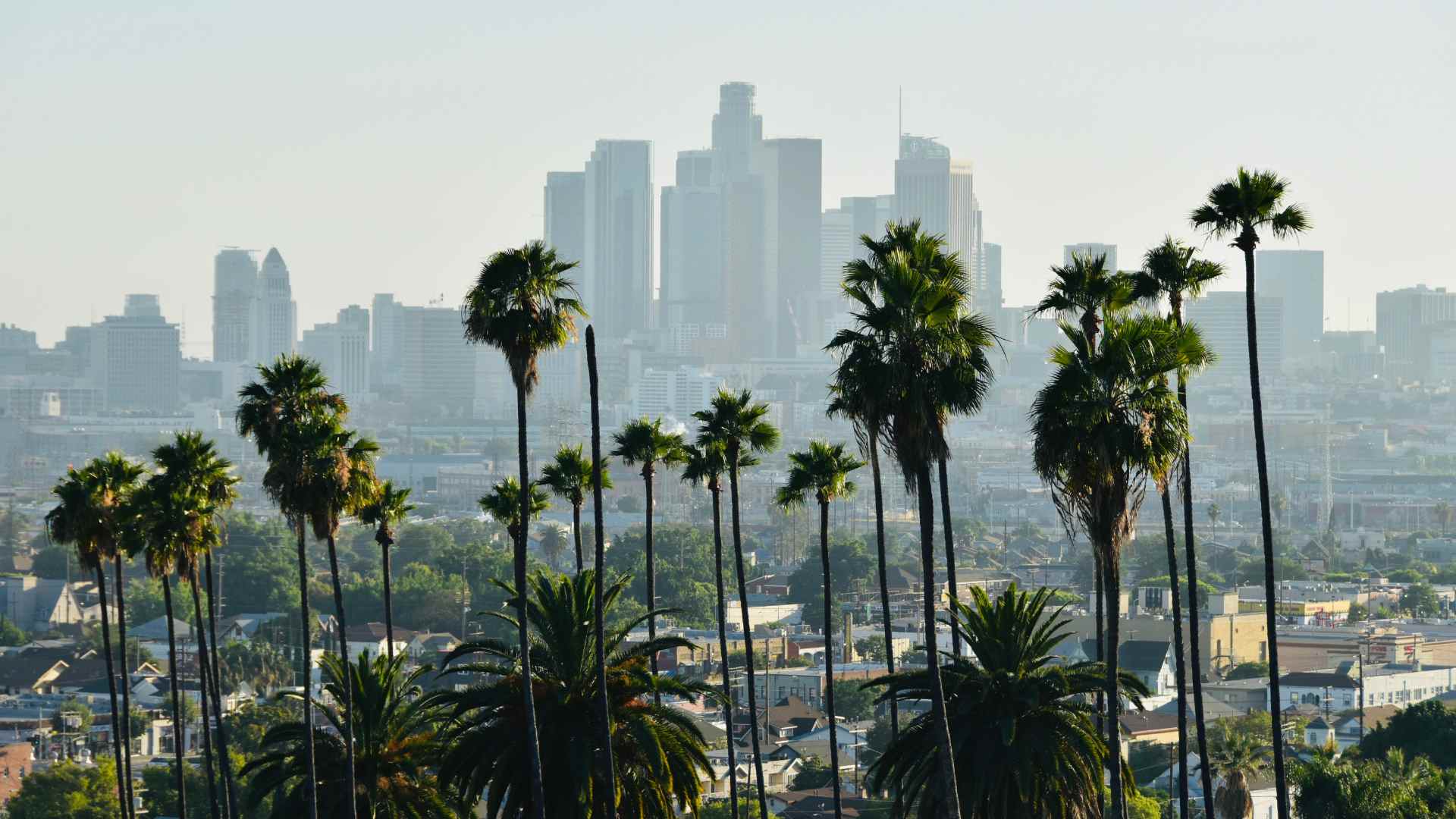145 Fun Facts About California That Will Fascinate