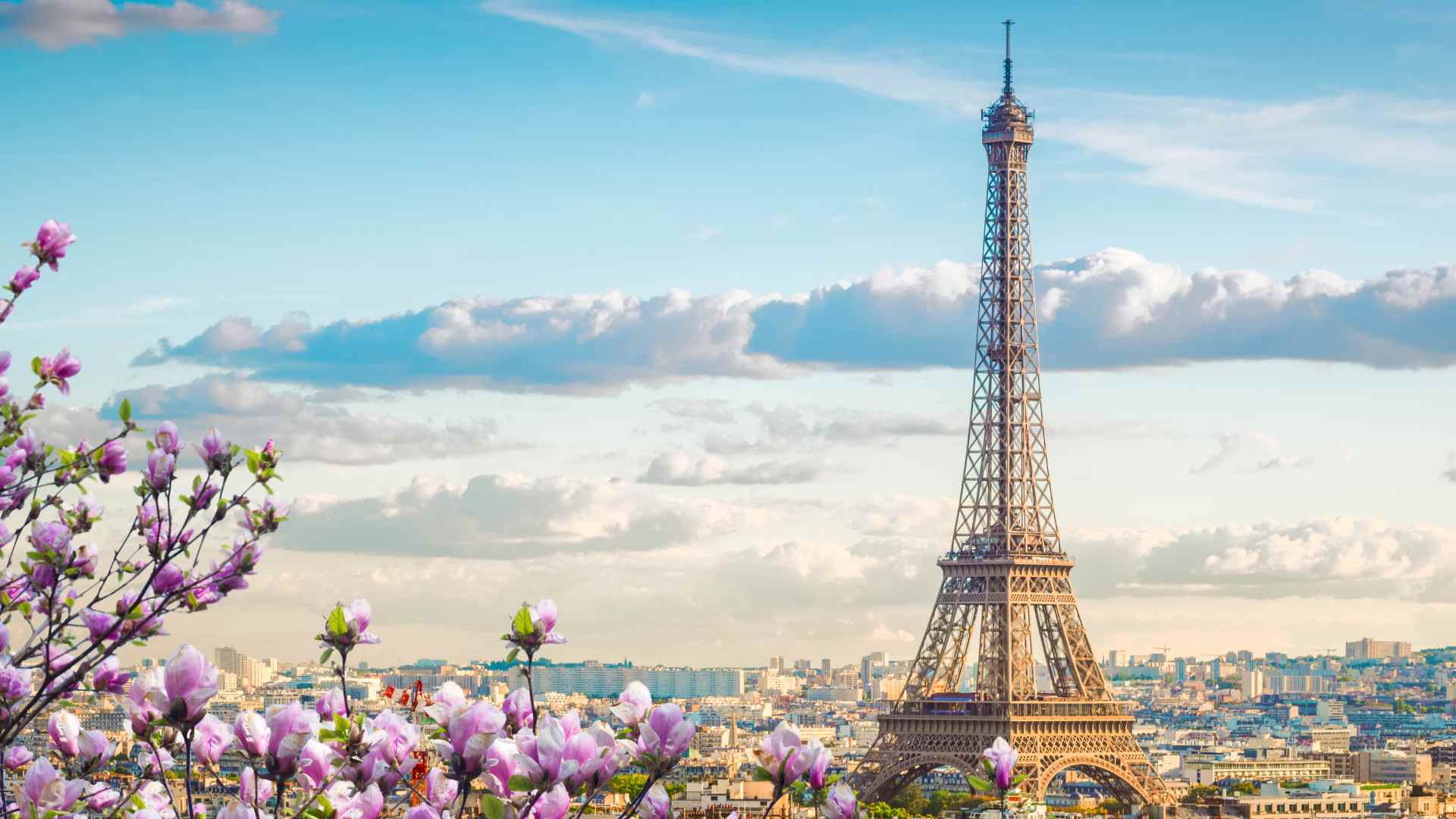 145 Fun Facts About France That Will Amaze