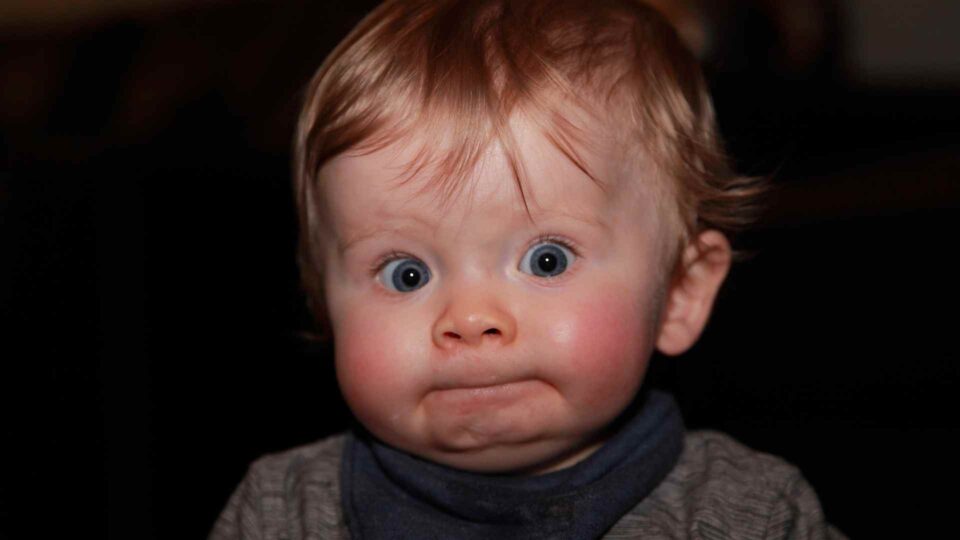 145 Funny Fun Facts That Will Make You Laugh