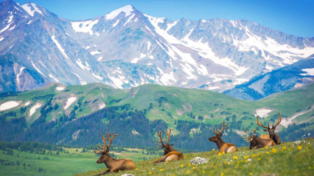 145 Fun Facts About Colorado That Will Inspire