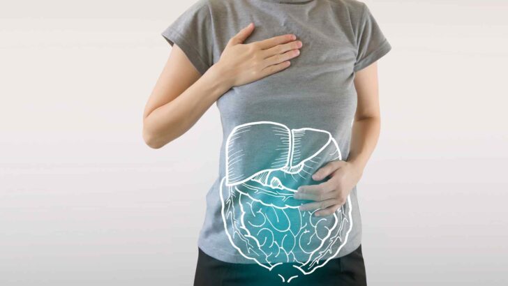 145 Fun Facts About the Digestive System!