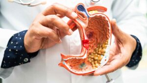 145 Fun Facts About the Digestive System!