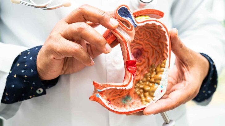 145 Fun Facts About the Digestive System!