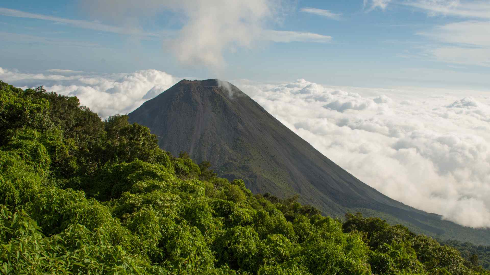 145 Fun Facts About El Salvador That Will Inspire