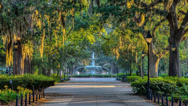 145 Fun Facts About Georgia That Will Amaze!