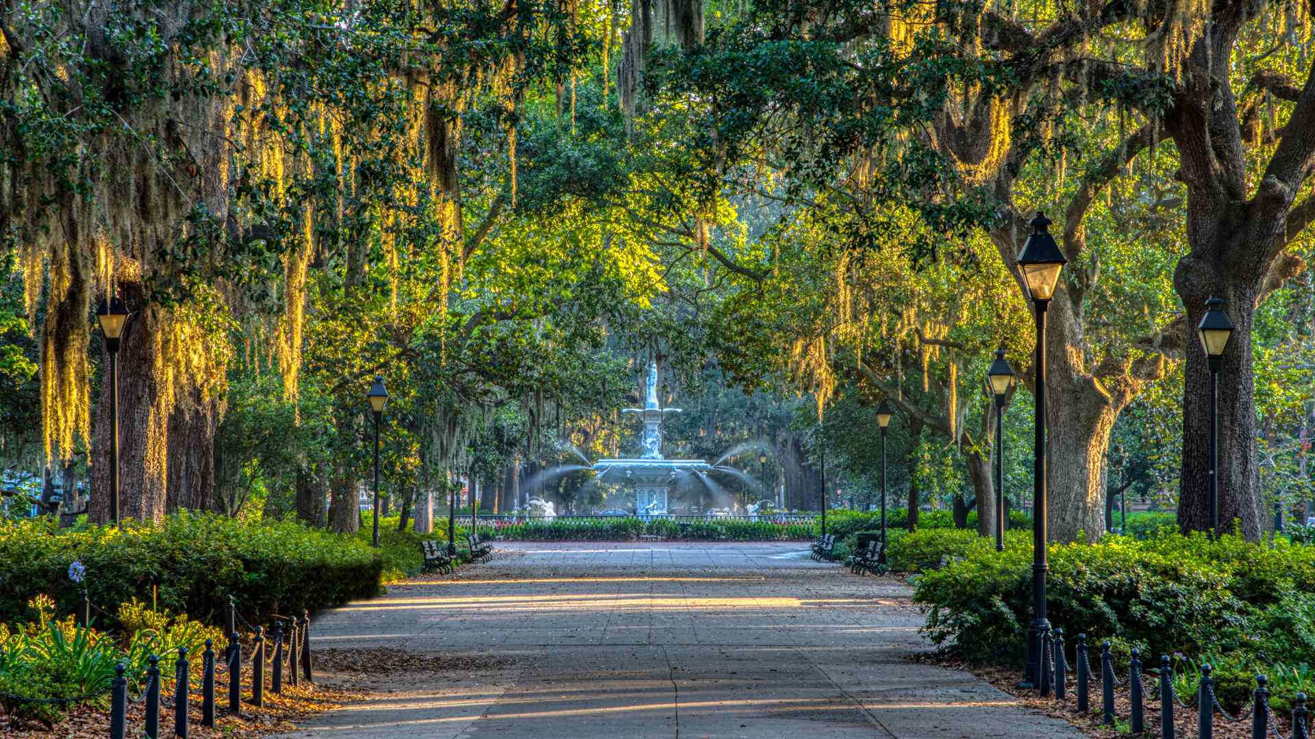 145 Fun Facts About Georgia That Will Amaze!