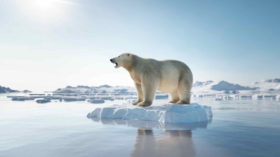 145 Fun Facts About Polar Bears That Will Amaze