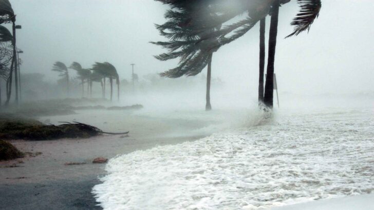 145 Fun Facts About Hurricanes That Will Blow Your Mind