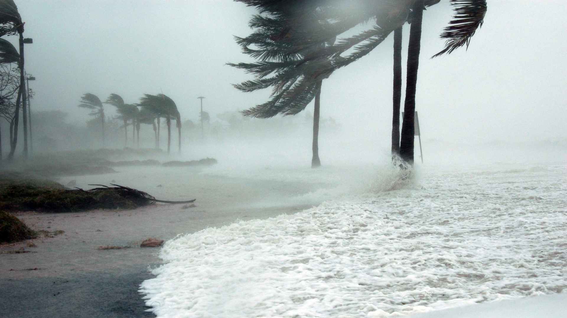 145 Fun Facts About Hurricanes That Will Blow Your Mind