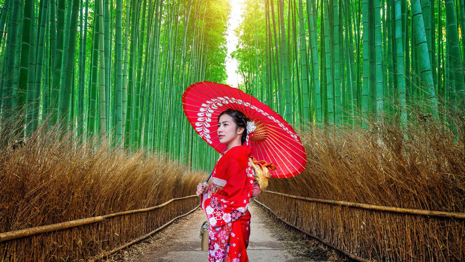 145 Fun Facts About Japan That Will Fascinate