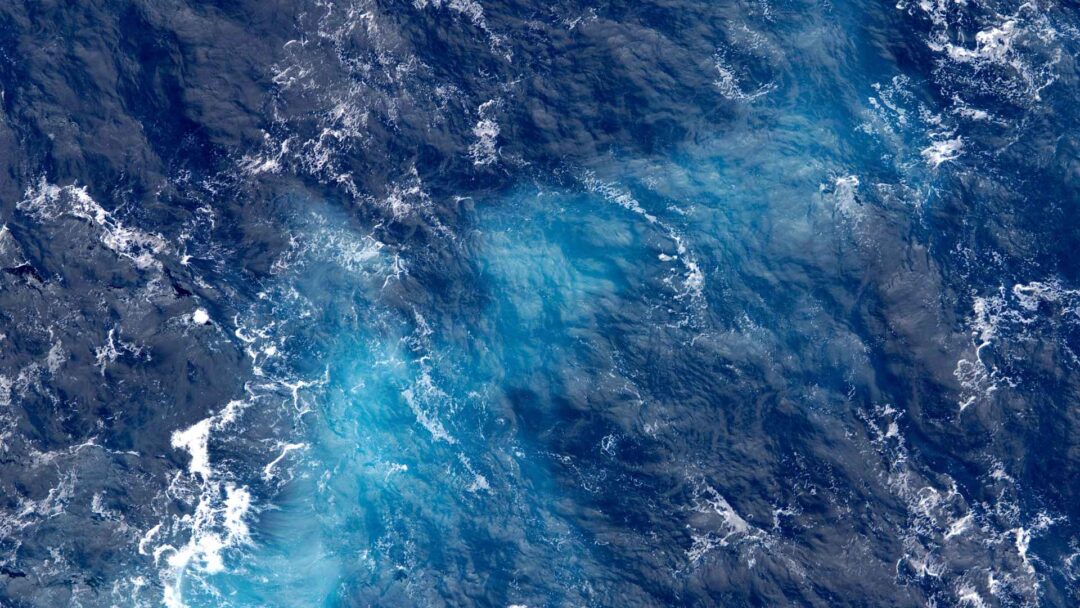 145 Fun Facts About the Ocean That Will Amaze