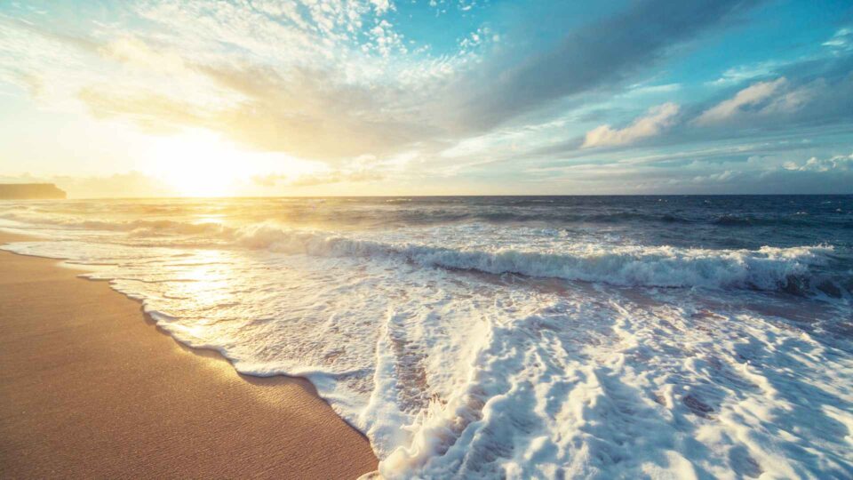 145 Fun Facts About the Ocean That Will Amaze