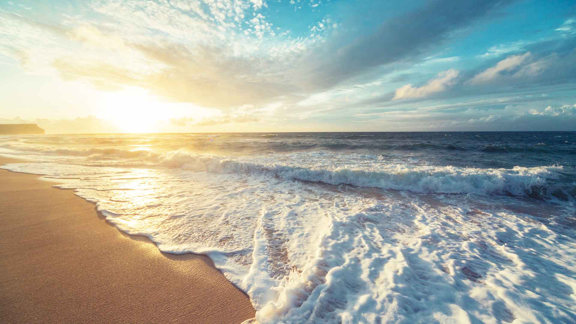 145 Fun Facts About the Ocean That Will Amaze