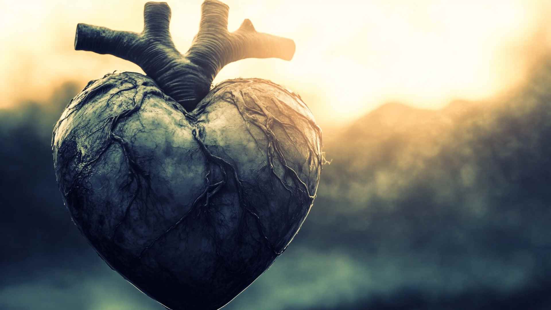 145 Fun Facts About the Heart That Will Fascinate