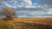 145 Fun Facts About Kansas That Will Amaze You
