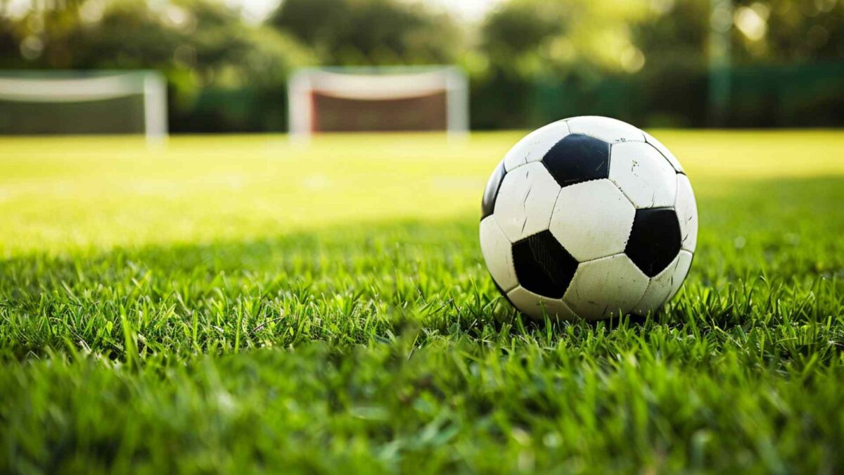 145 Fun Facts About Soccer That Will Fascinate